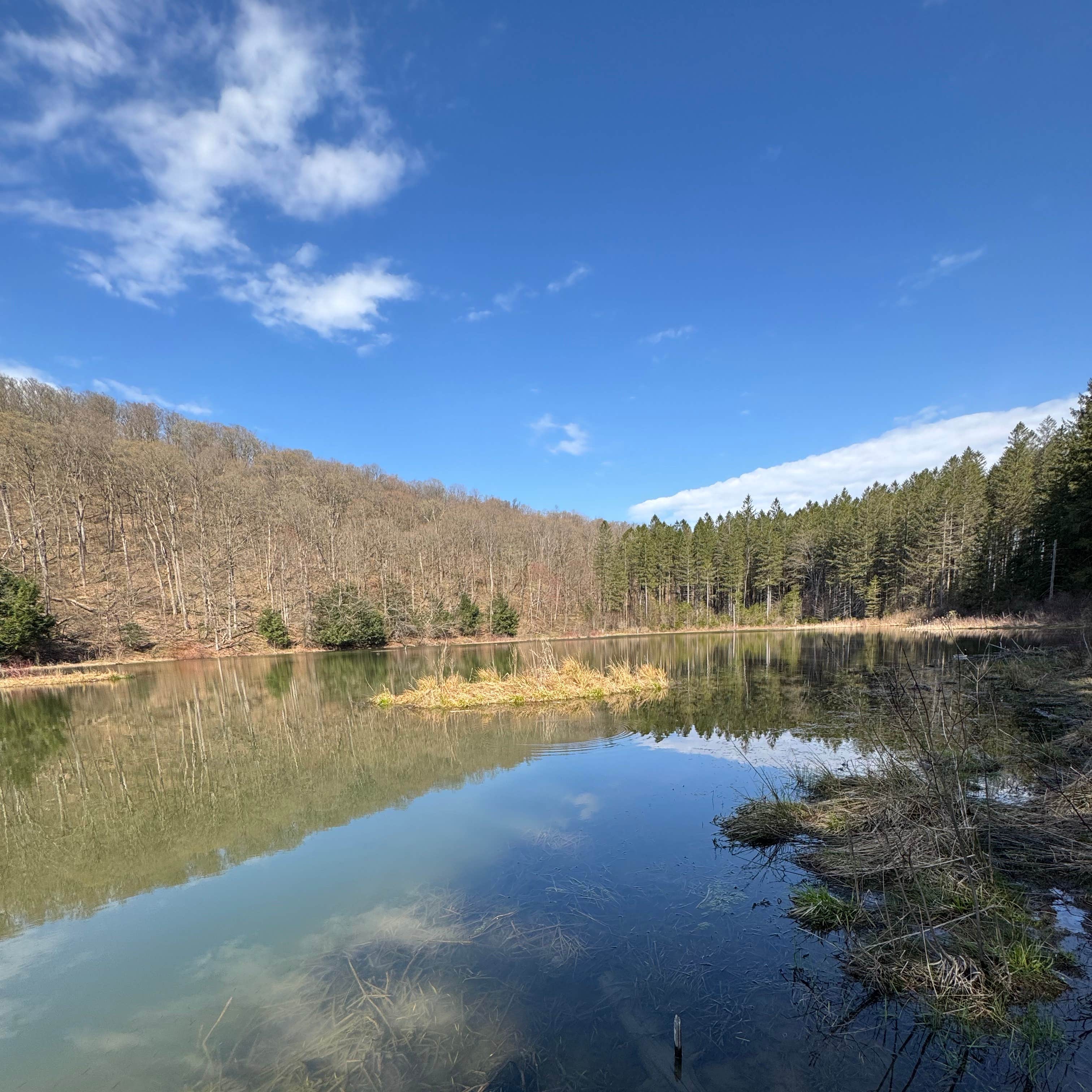 Spruce Pond Camping Area - Morgan Hill State Forest | Apulia Station ...