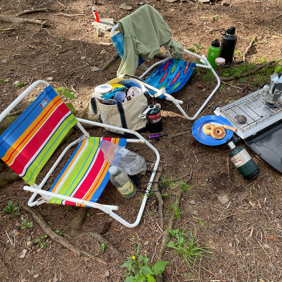 Spruce Pond Camping Area - Morgan Hill State Forest | Apulia Station ...