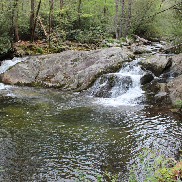 Steele Creek Camping | Jonas Ridge, NC