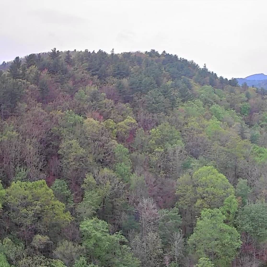 Steele Creek Camping | Jonas Ridge, North Carolina