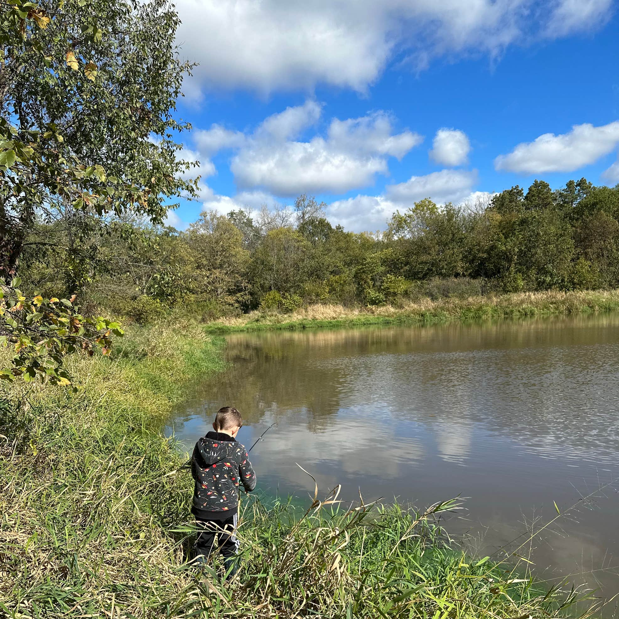 Mine Pond Campground — Stephens State Forest | Lucas, Iowa