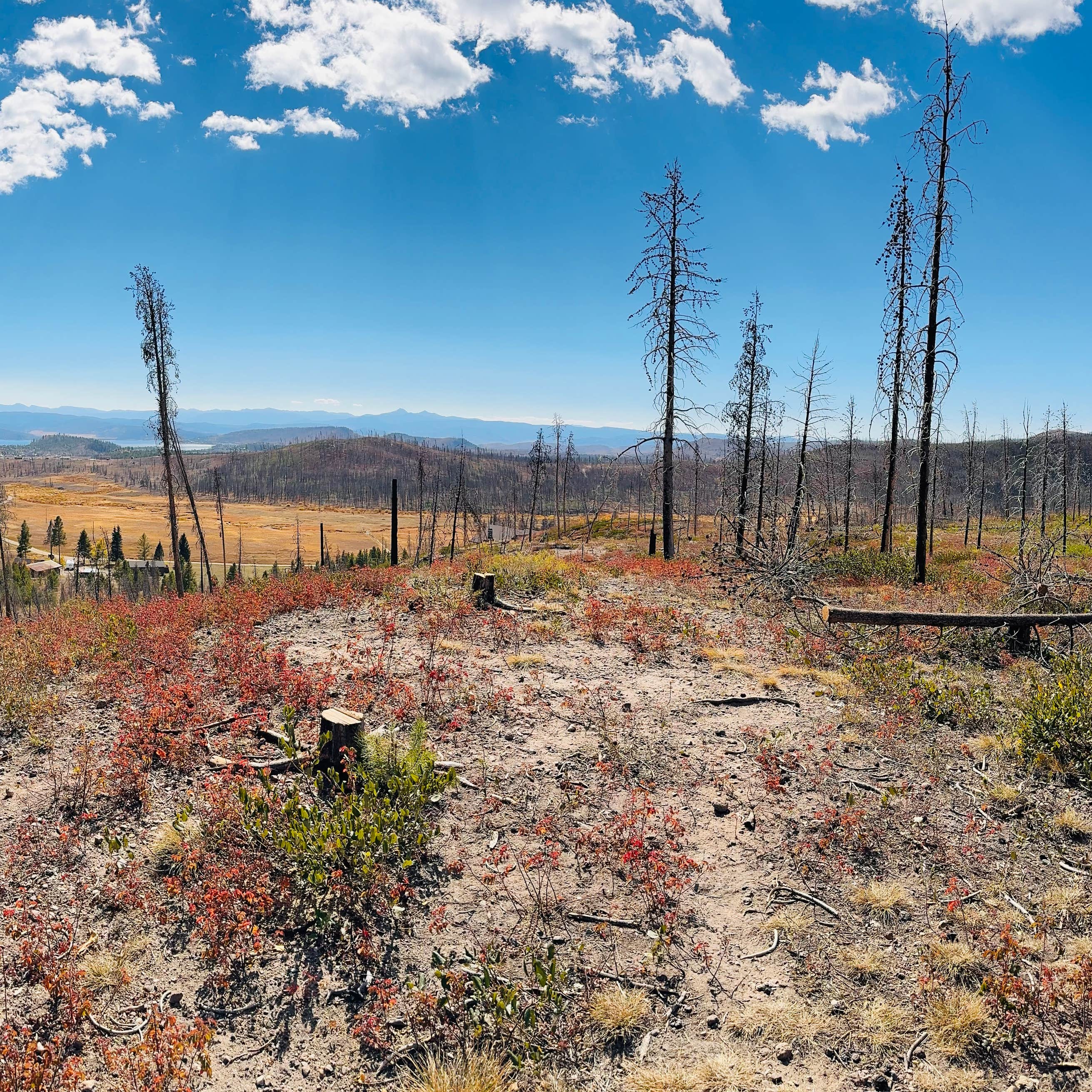 Stillwater Pass over Lake Granby Dispersed Campsite | Grand Lake, Colorado