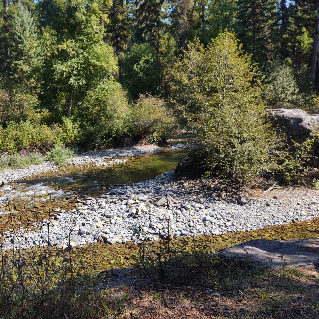 Stillwater River Camping | Stryker, Montana