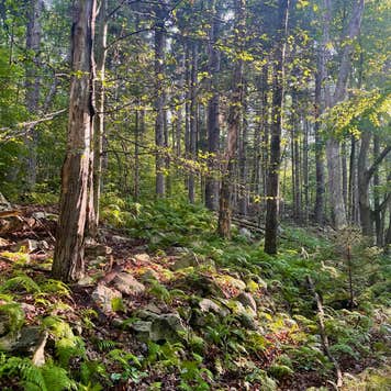 Stokes State Forest Camping | Branchville, NJ