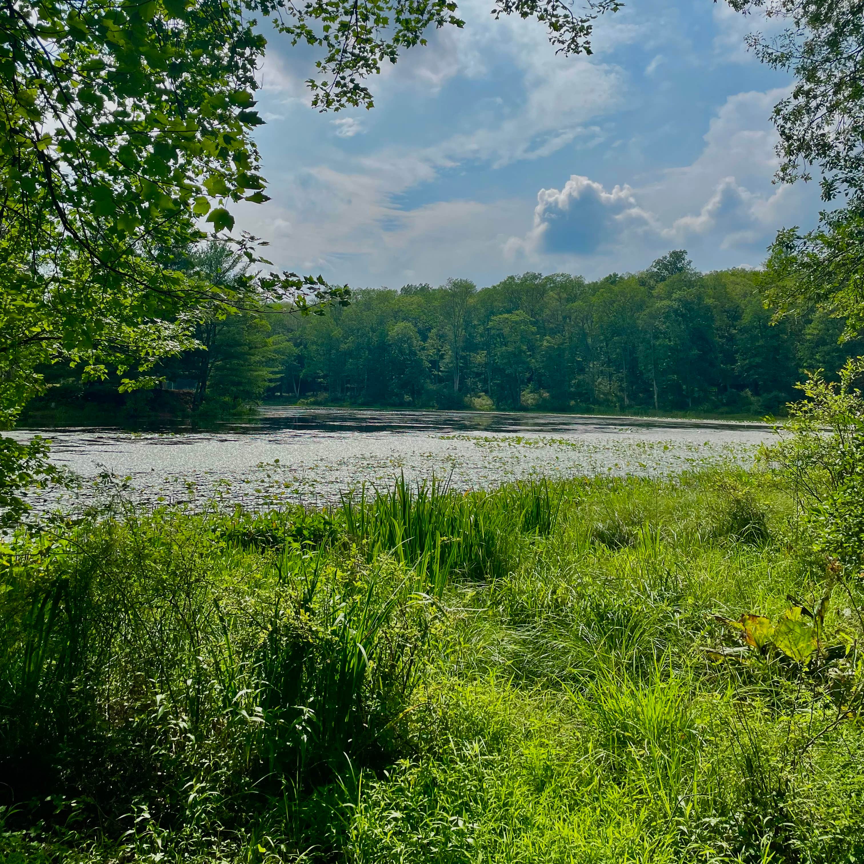 Stokes State Forest Camping | Layton, New Jersey
