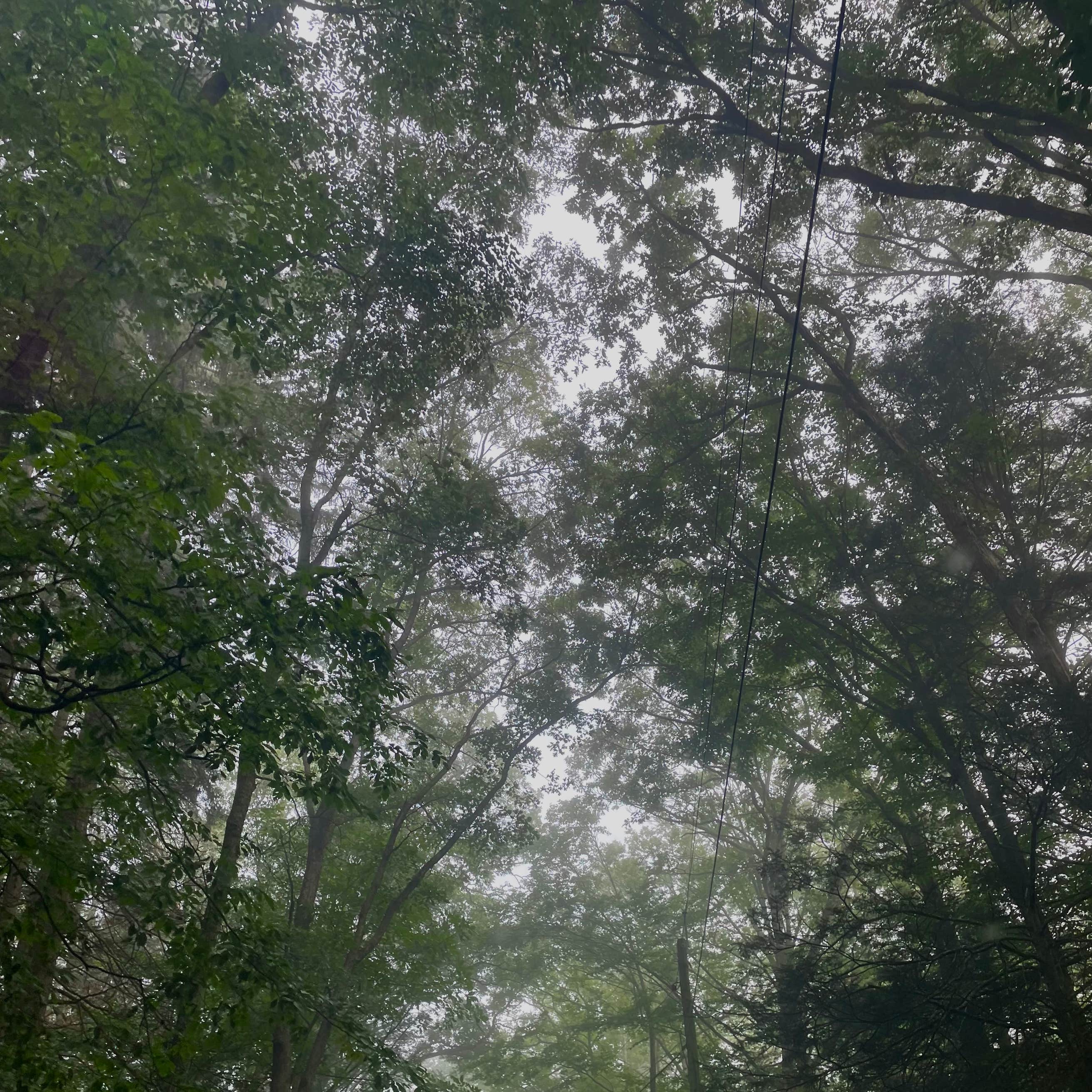 Stokes State Forest Camping | Layton, New Jersey