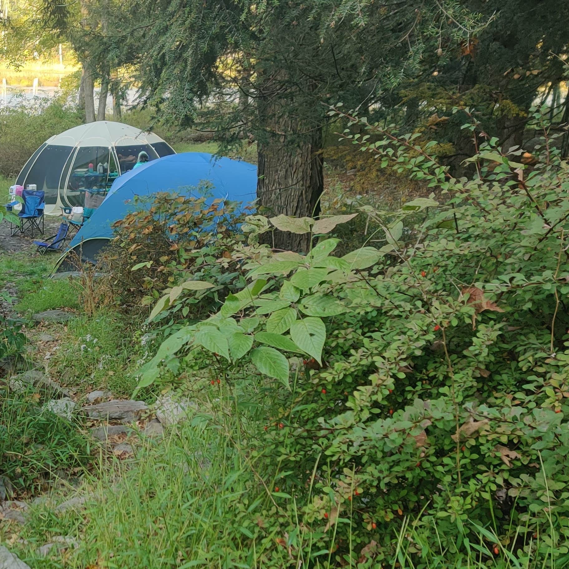 Stokes State Forest Camping | Layton, New Jersey