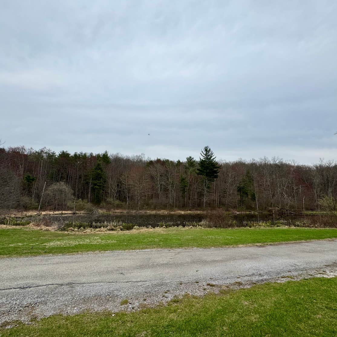 Stokes State Forest Camping | Layton, New Jersey