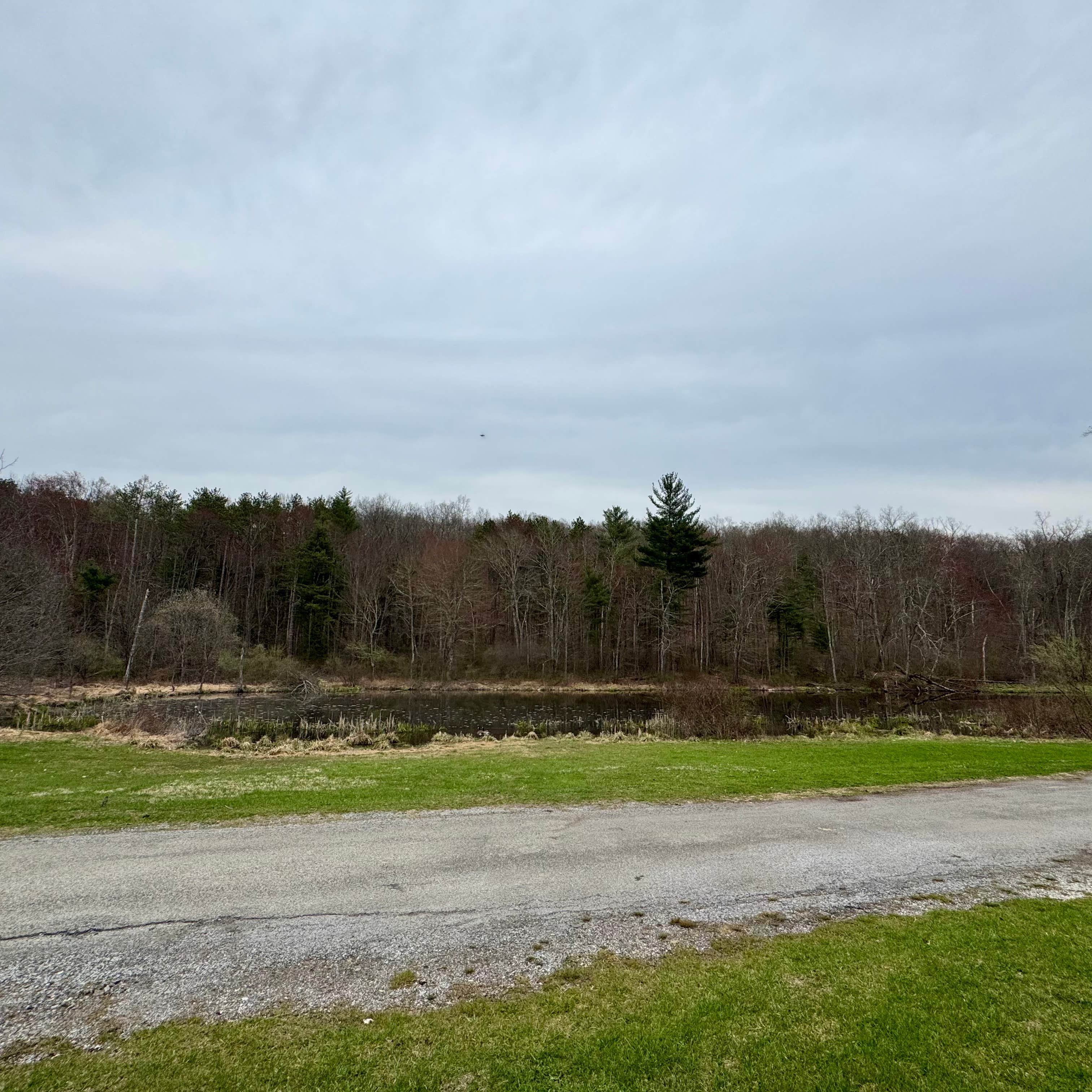 Stokes State Forest Camping | Layton, New Jersey