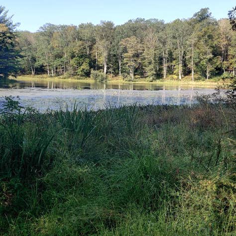 Stokes State Forest Camping | Layton, New Jersey