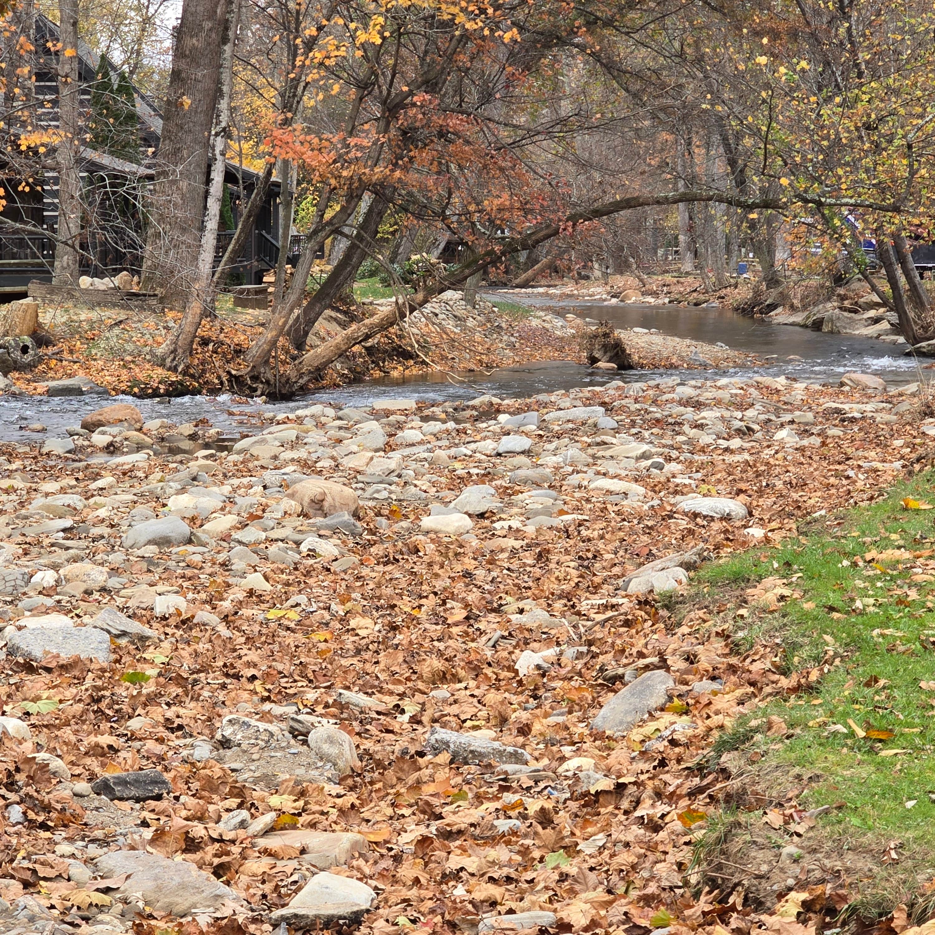 Stonebridge RV Resort | Maggie Valley, North Carolina
