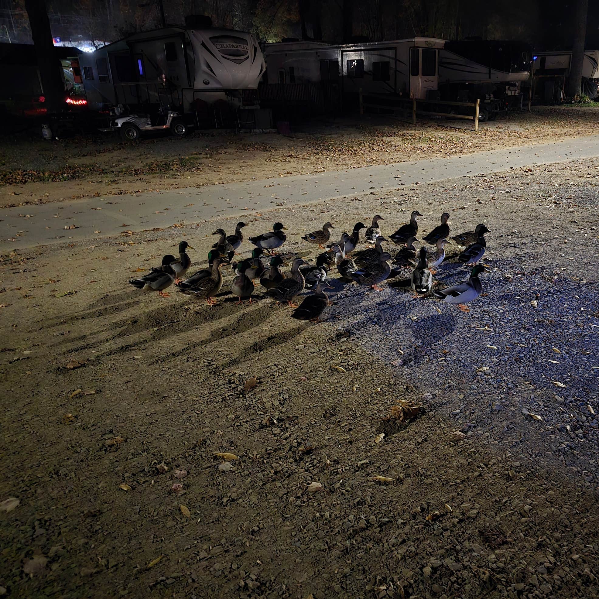 Stonebridge RV Resort | Maggie Valley, North Carolina