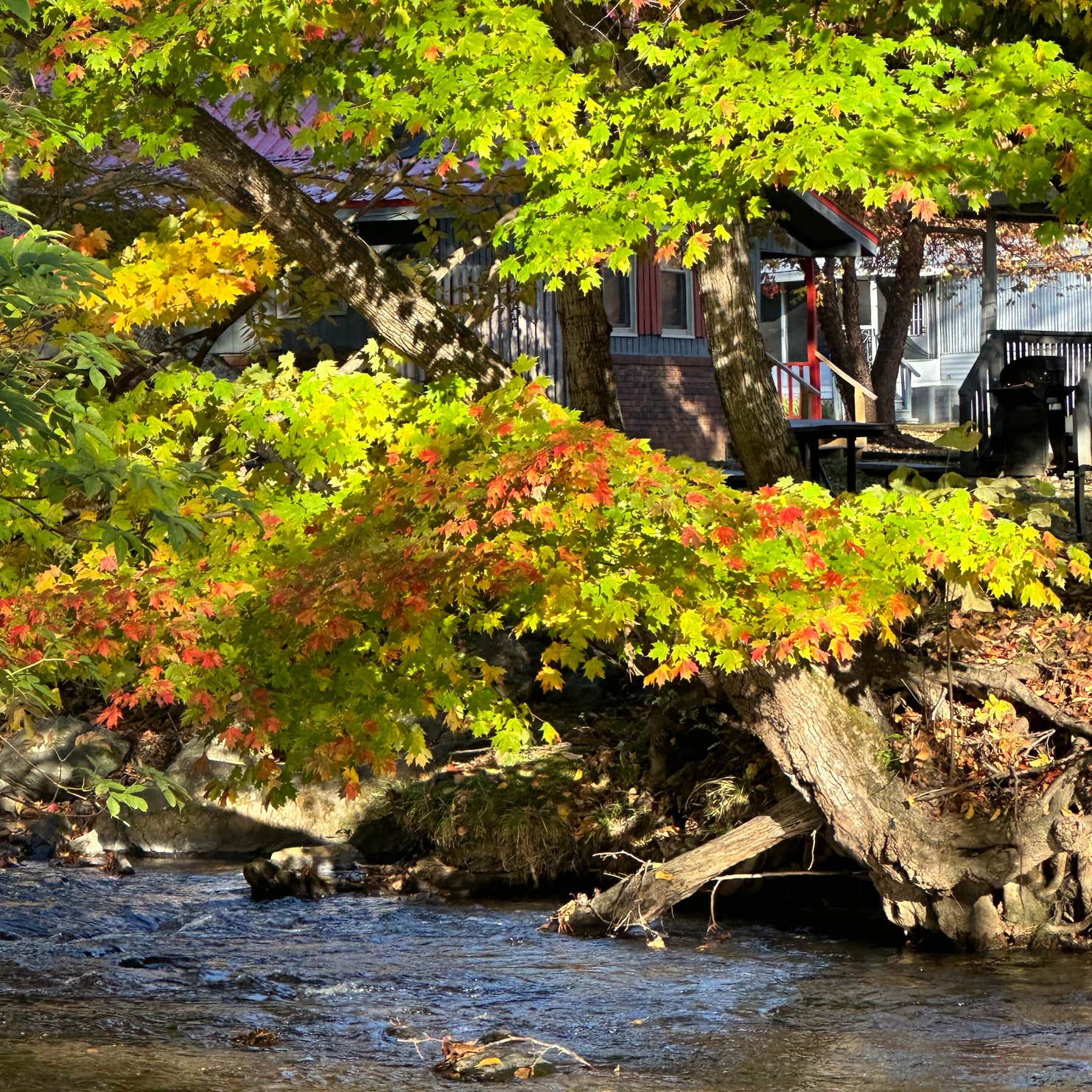Stonebridge RV Resort | Maggie Valley, NC