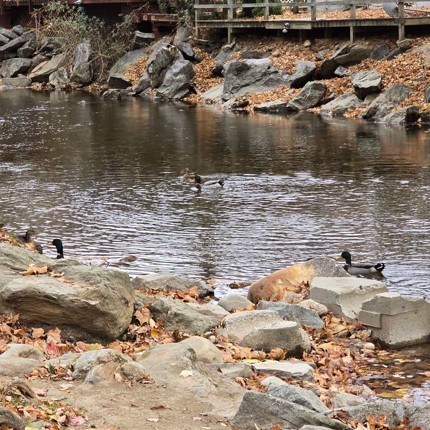 Stonebridge RV Resort | Maggie Valley, North Carolina