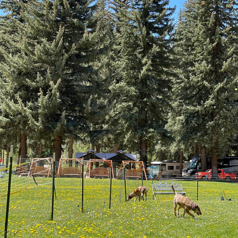 Stoner RV Resort | Dolores, Colorado