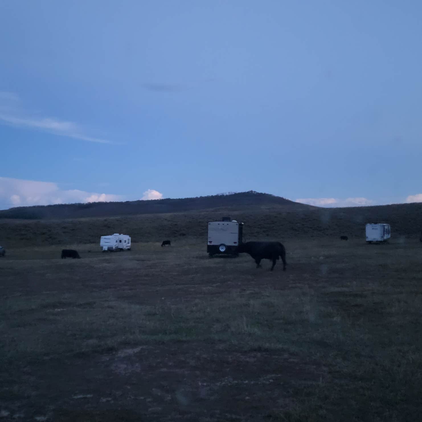 Strawberry Ridge Dispersed Camping | Wallsburg, Utah
