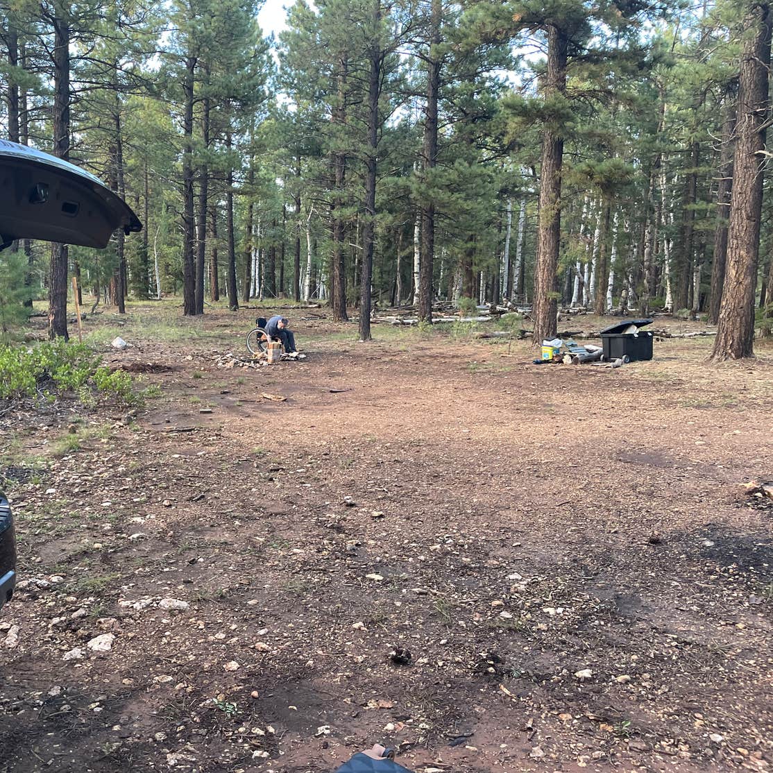 Strawberry Ridge Camping | Duck Creek Village, Utah