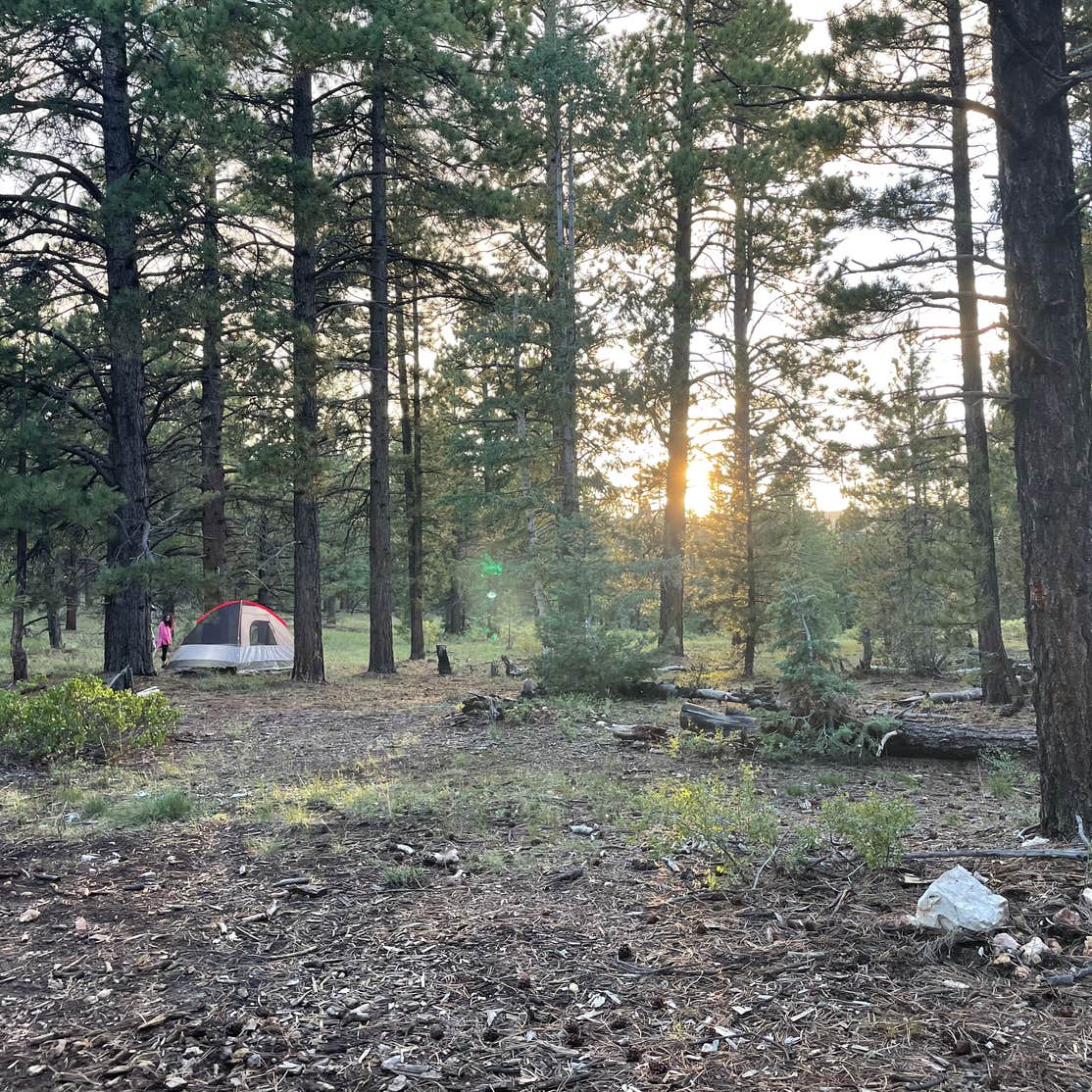 Strawberry Ridge Camping | Duck Creek Village, Utah