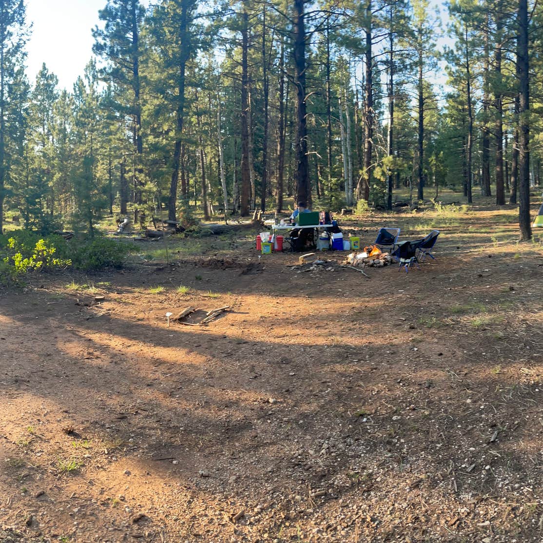 Strawberry Ridge Camping | Duck Creek Village, Utah