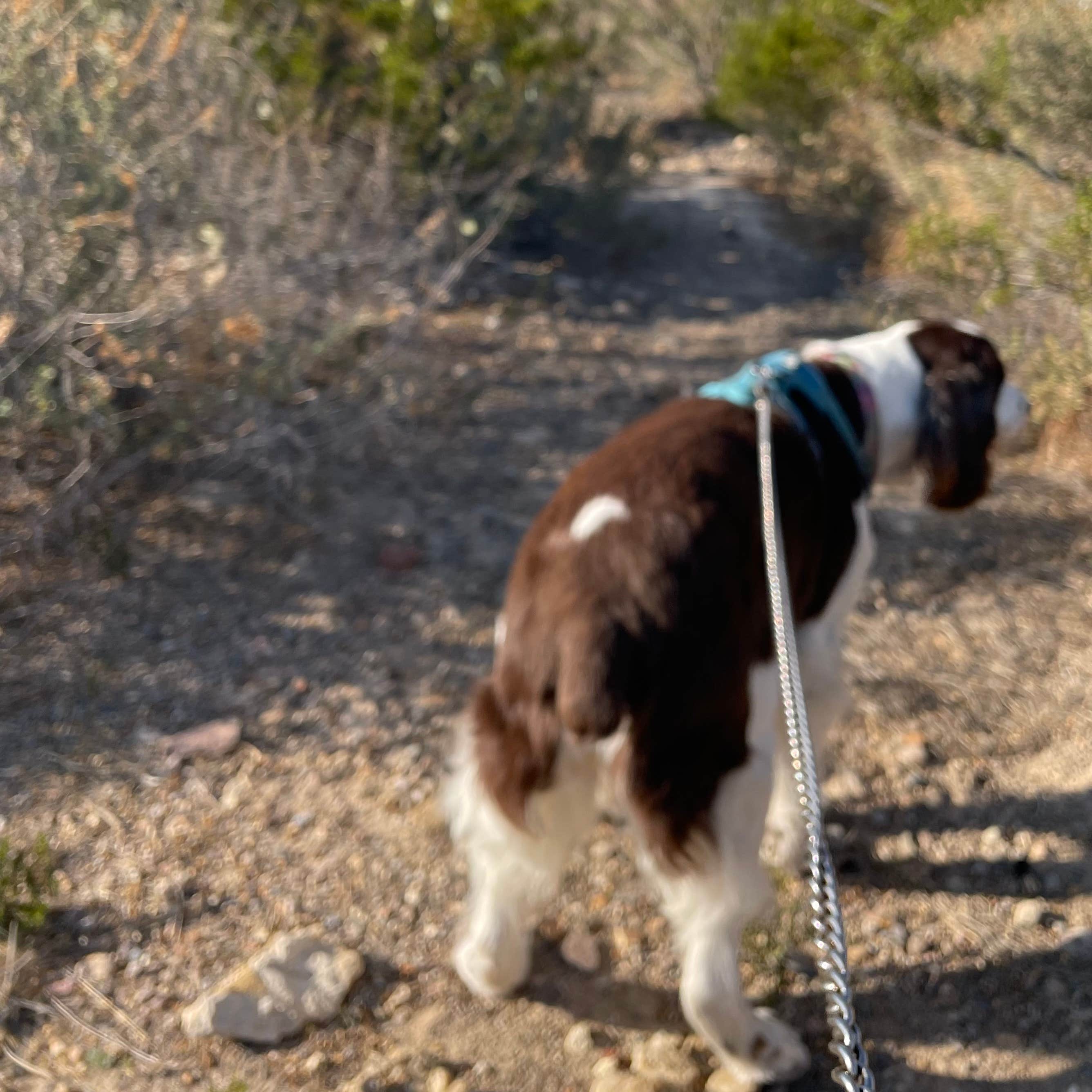 Study Butte RV Park | Terlingua, Texas