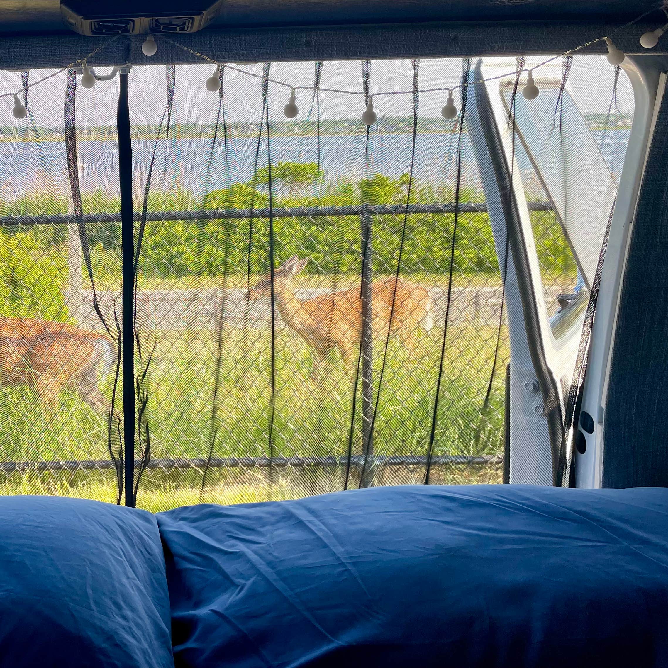 Smith Point County Park Camping | Mastic Beach, New York