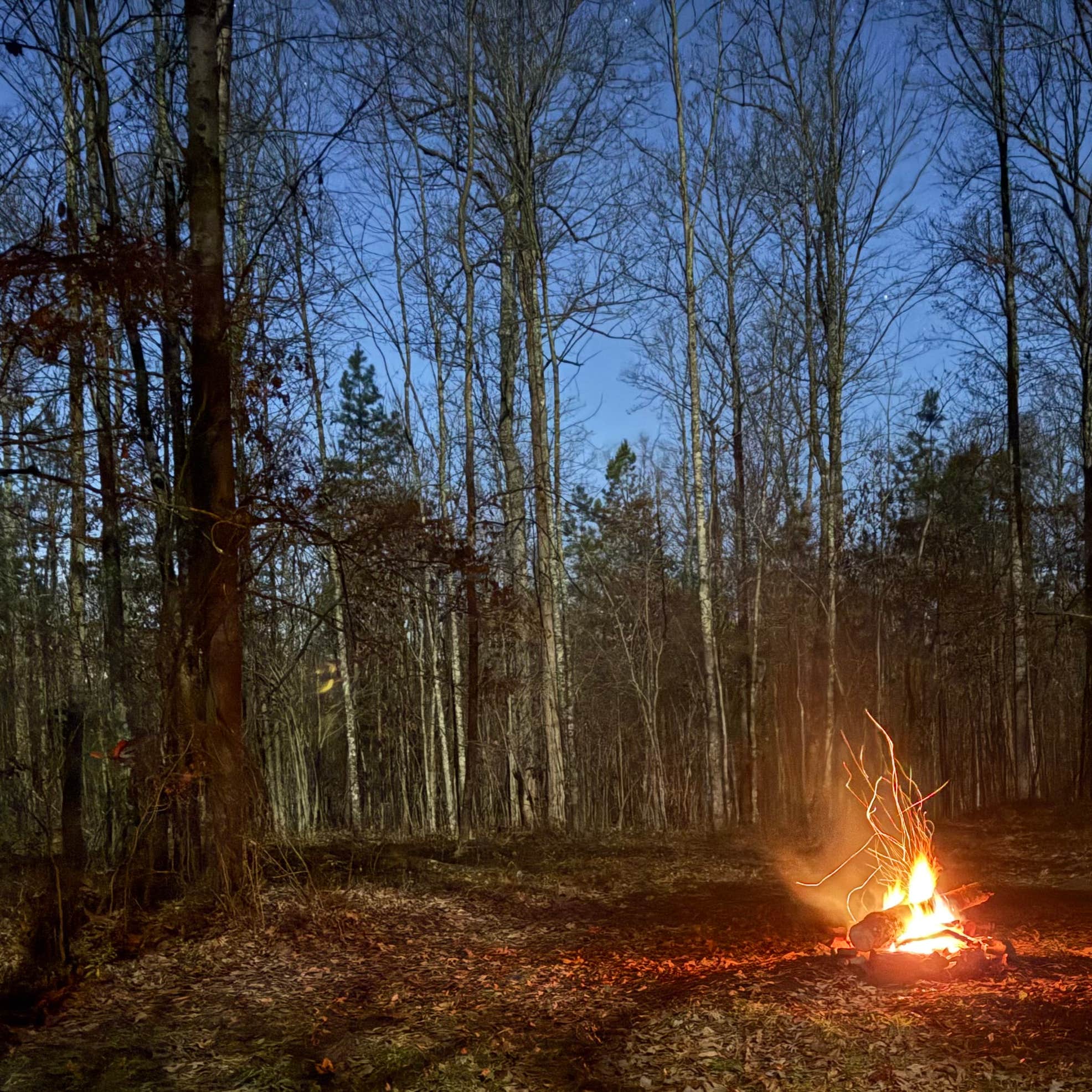 Sundance Lake Dispersed Camping | Freetown, Indiana