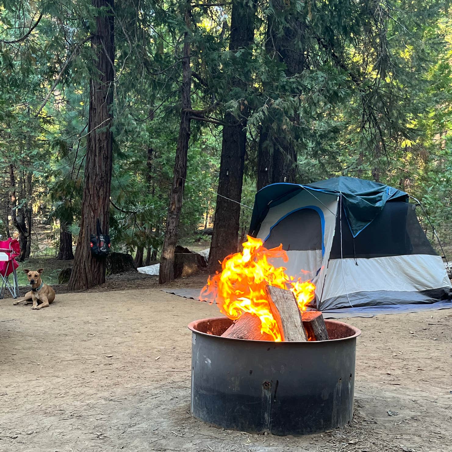 Union Valley Reservoir Camping | Kyburz, California