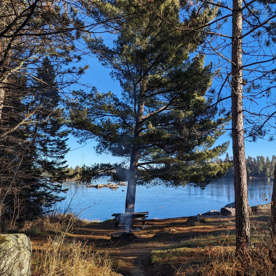 Lake Jeanette Campground & Backcountry Sites | Cook,, MN