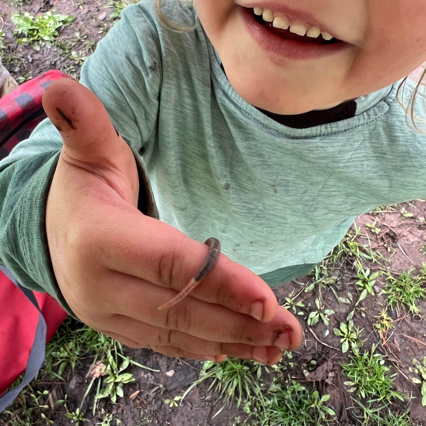 Switzer Lake Dispersed Camping | Brandywine, West Virginia