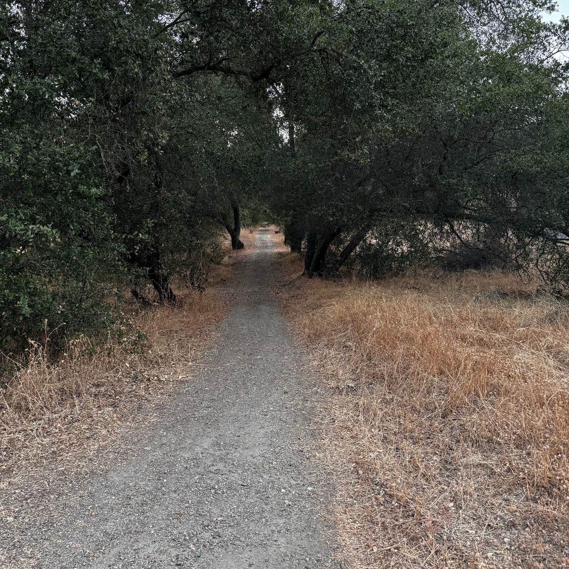 Sycamore Ranch RV Park | Browns Valley, CA