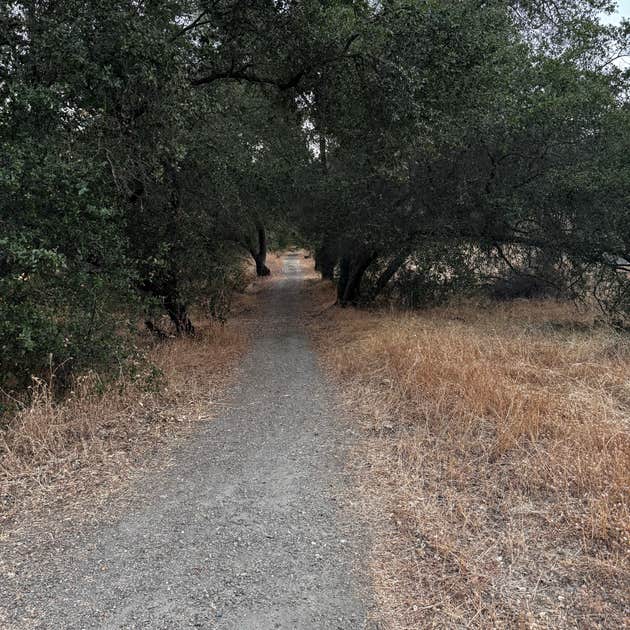 Sycamore Ranch RV Park | Smartsville, California