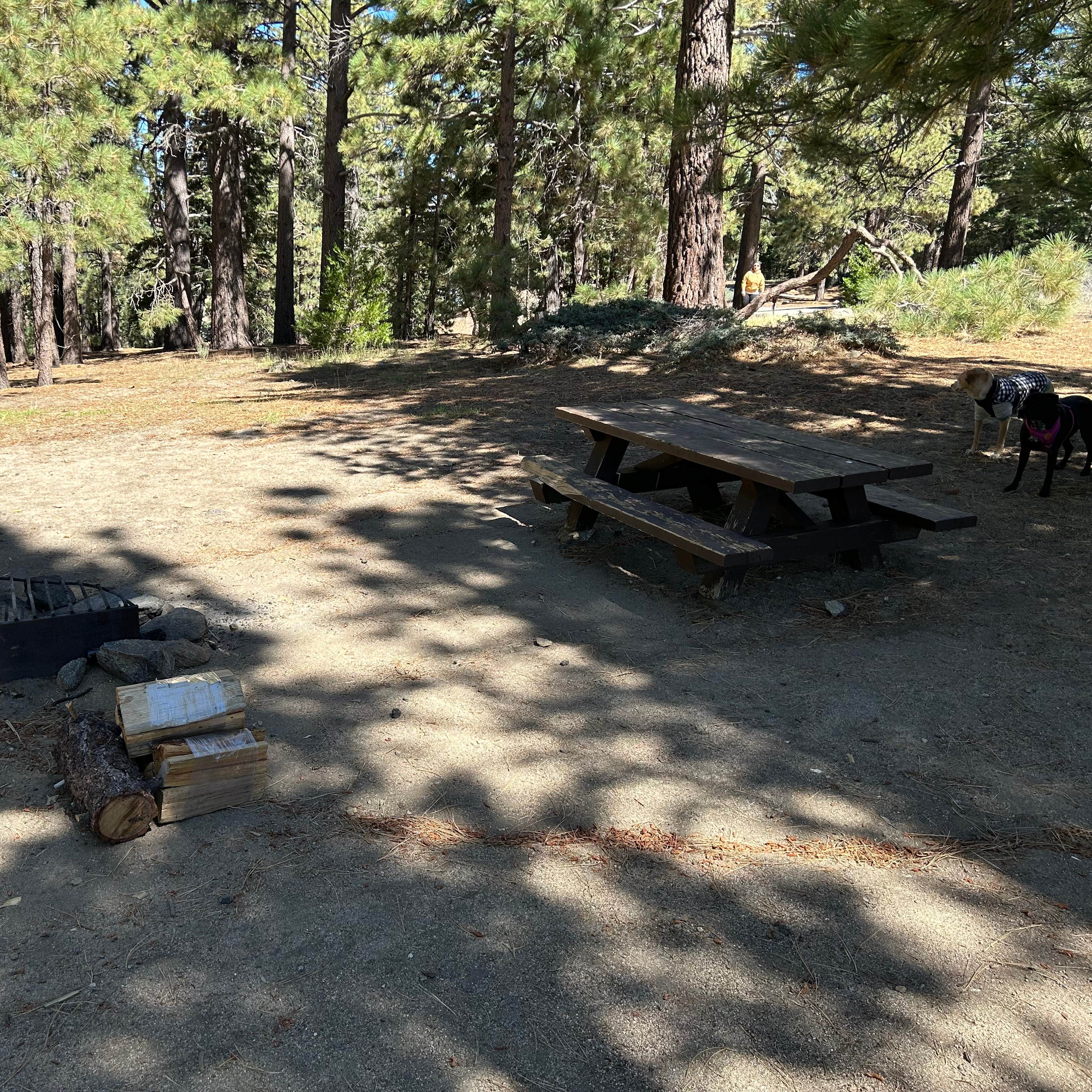 Table Mountain Campground | Wrightwood, CA