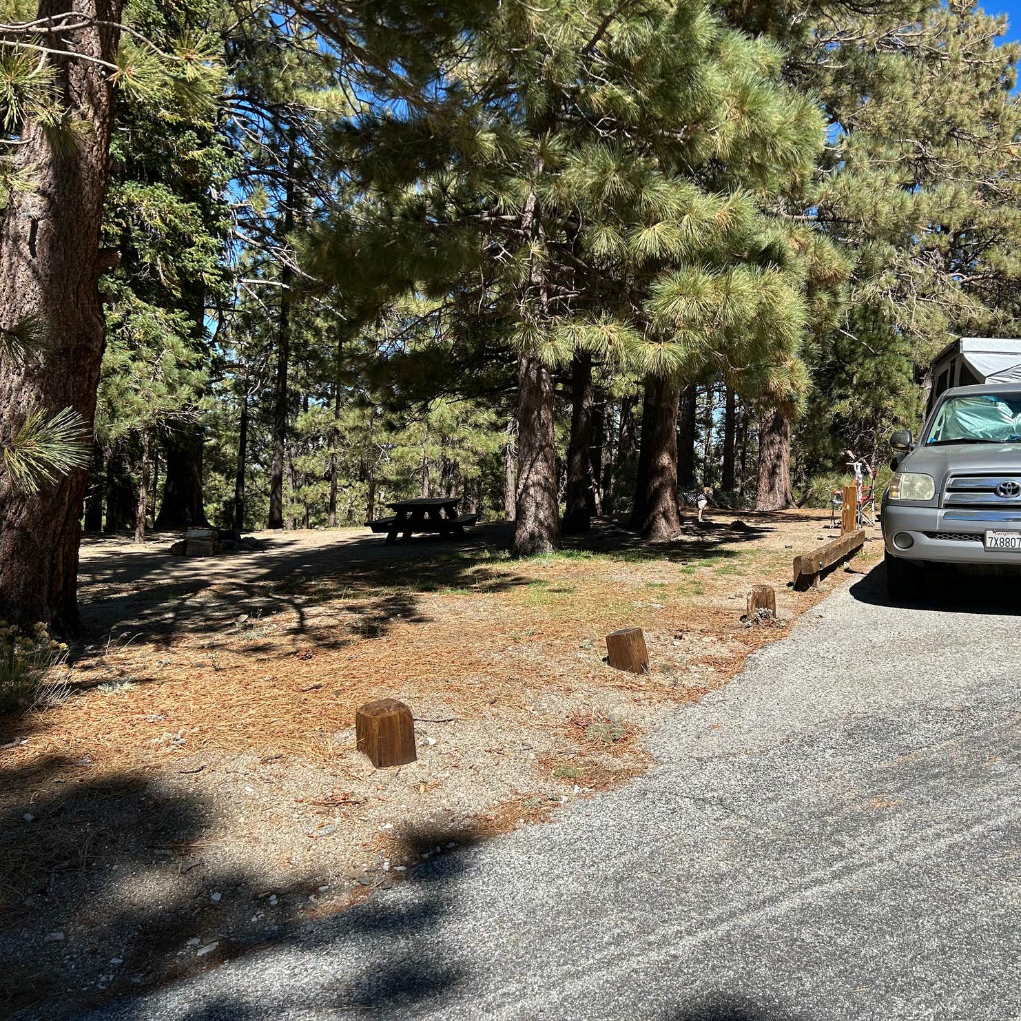 Table Mountain Campground | Wrightwood, California