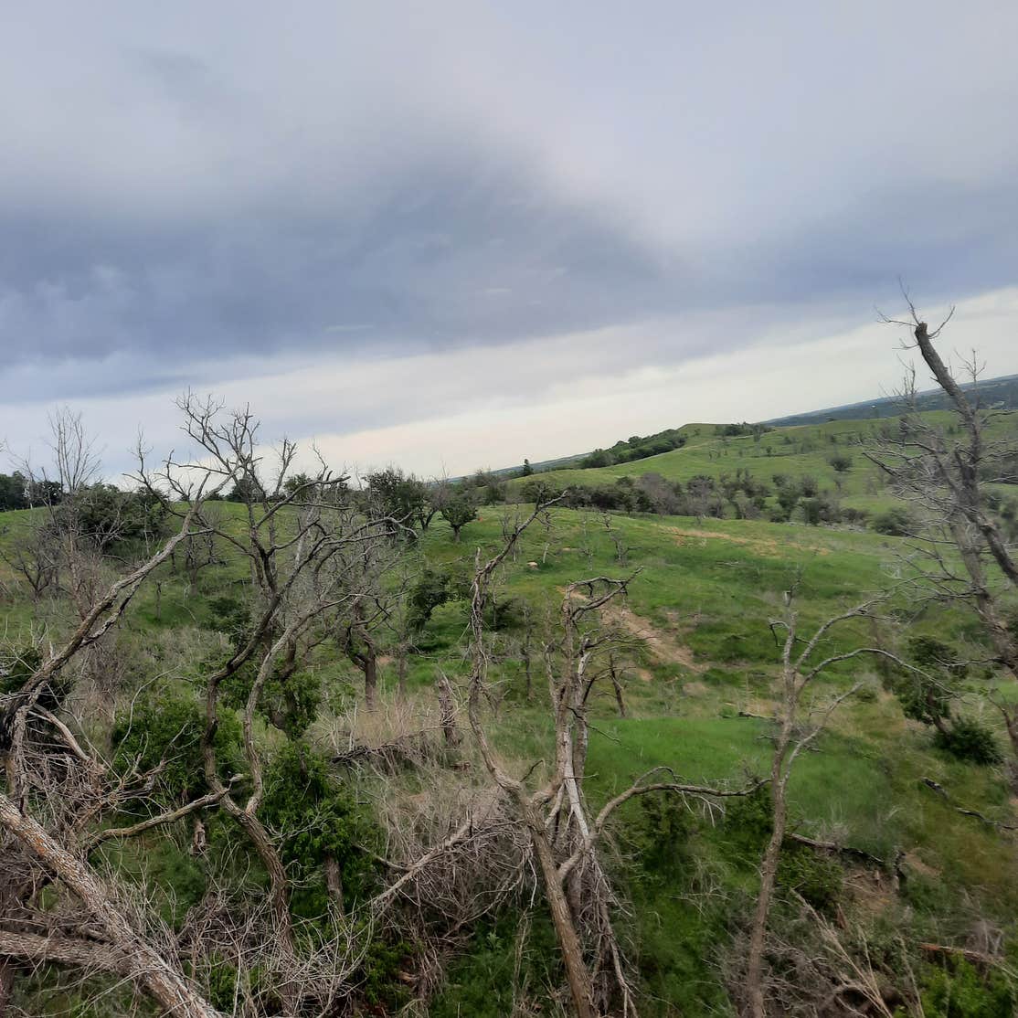 Tabor Lakeside Use Area Camping | Yankton, South Dakota