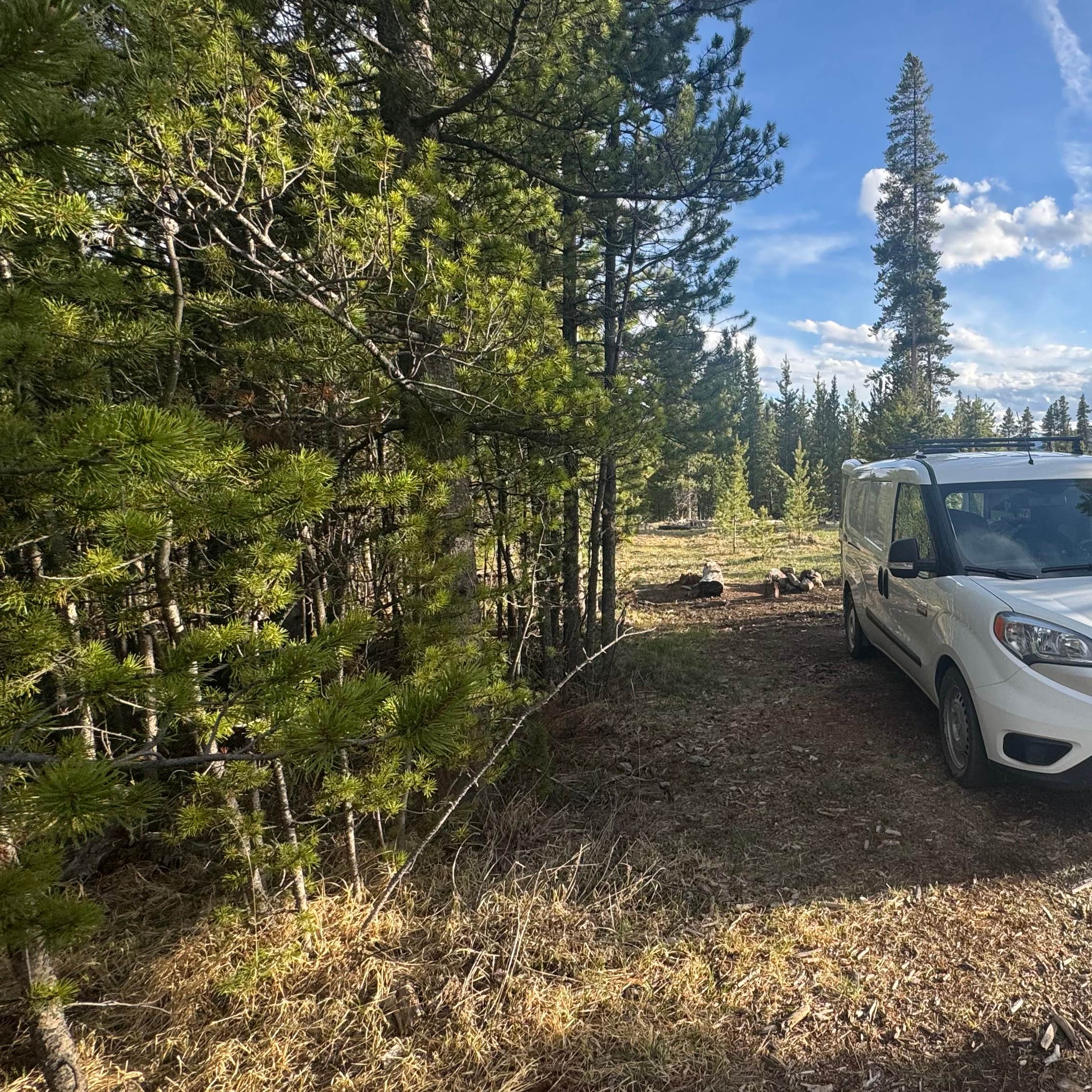 Taylor Reservoir Dispersed Camping | Pitkin, Colorado
