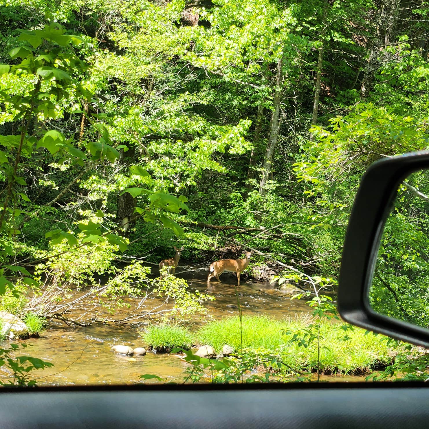 Tellico River Campgrounds | Coker Creek, Tennessee