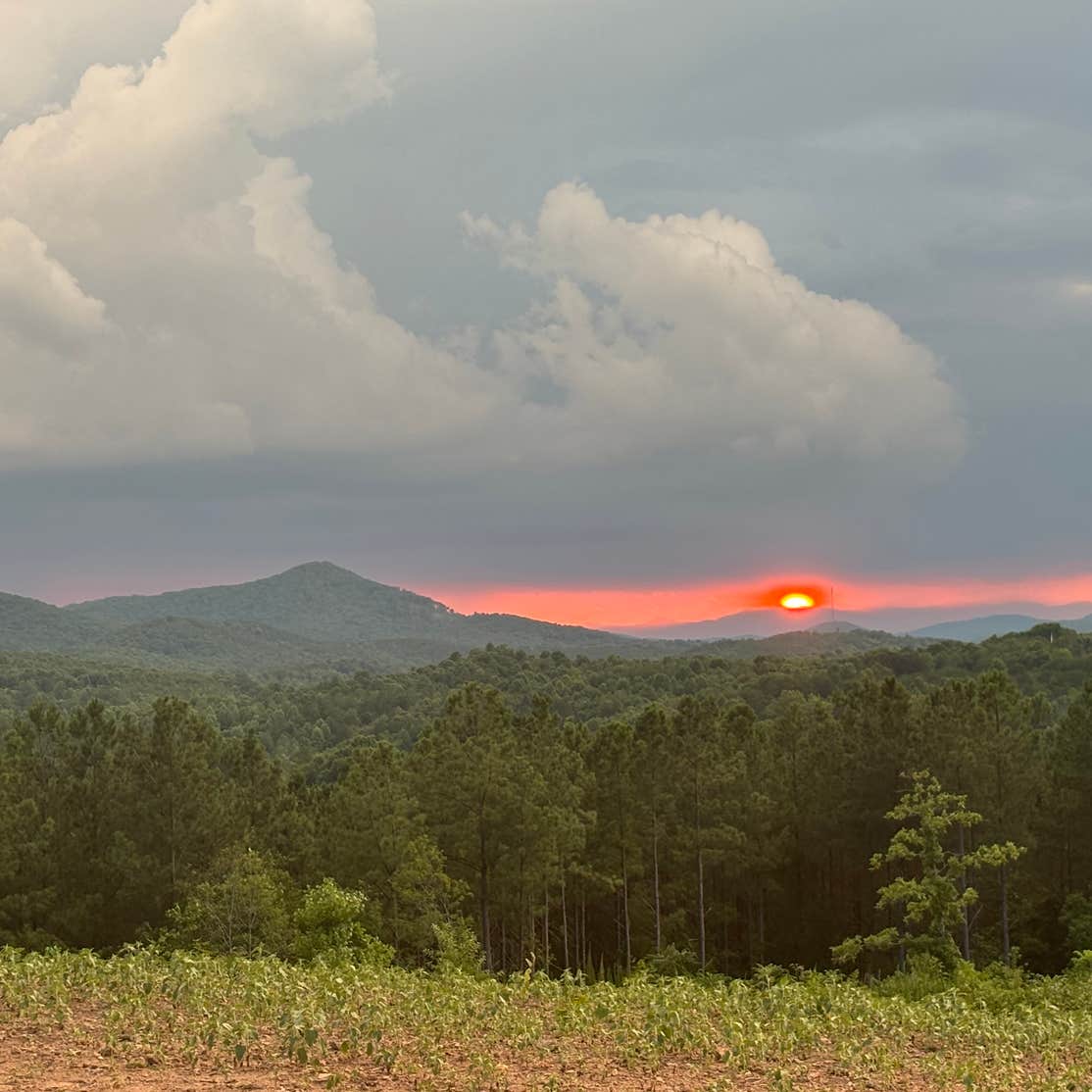 Tellurian Campground | Casar, North Carolina