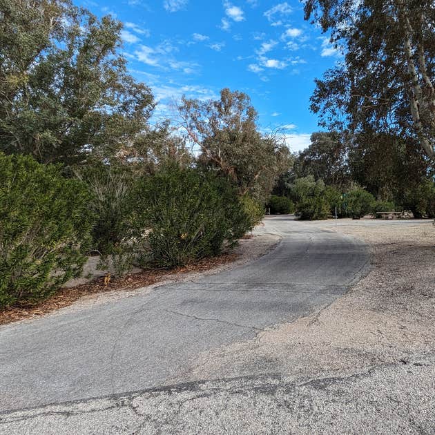 Temple Bar Campground (Lake Mead) — Lake Mead National Recreation Area ...