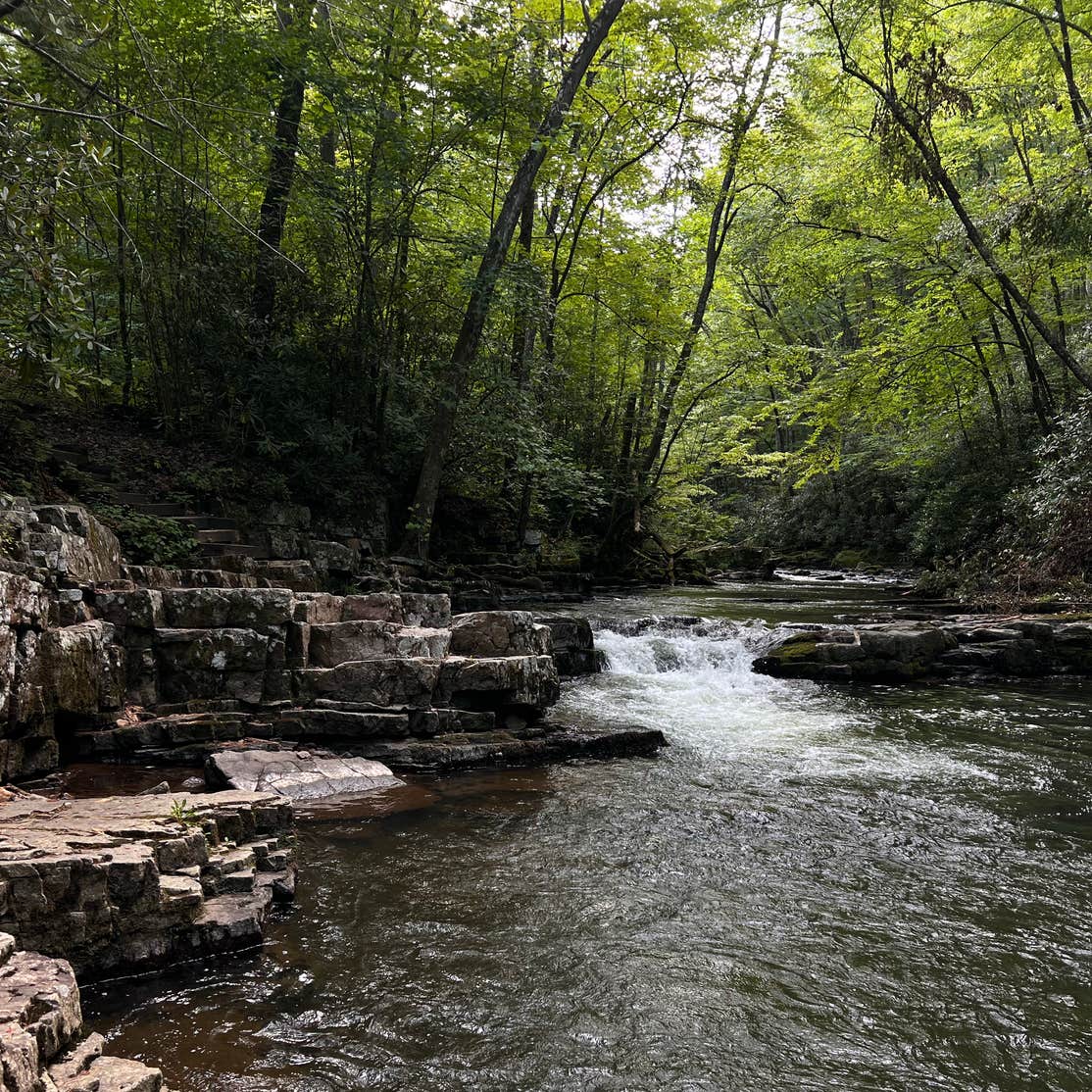 Backbone Rock Recreation Area Pavilions and Campground | Damascus, Virginia