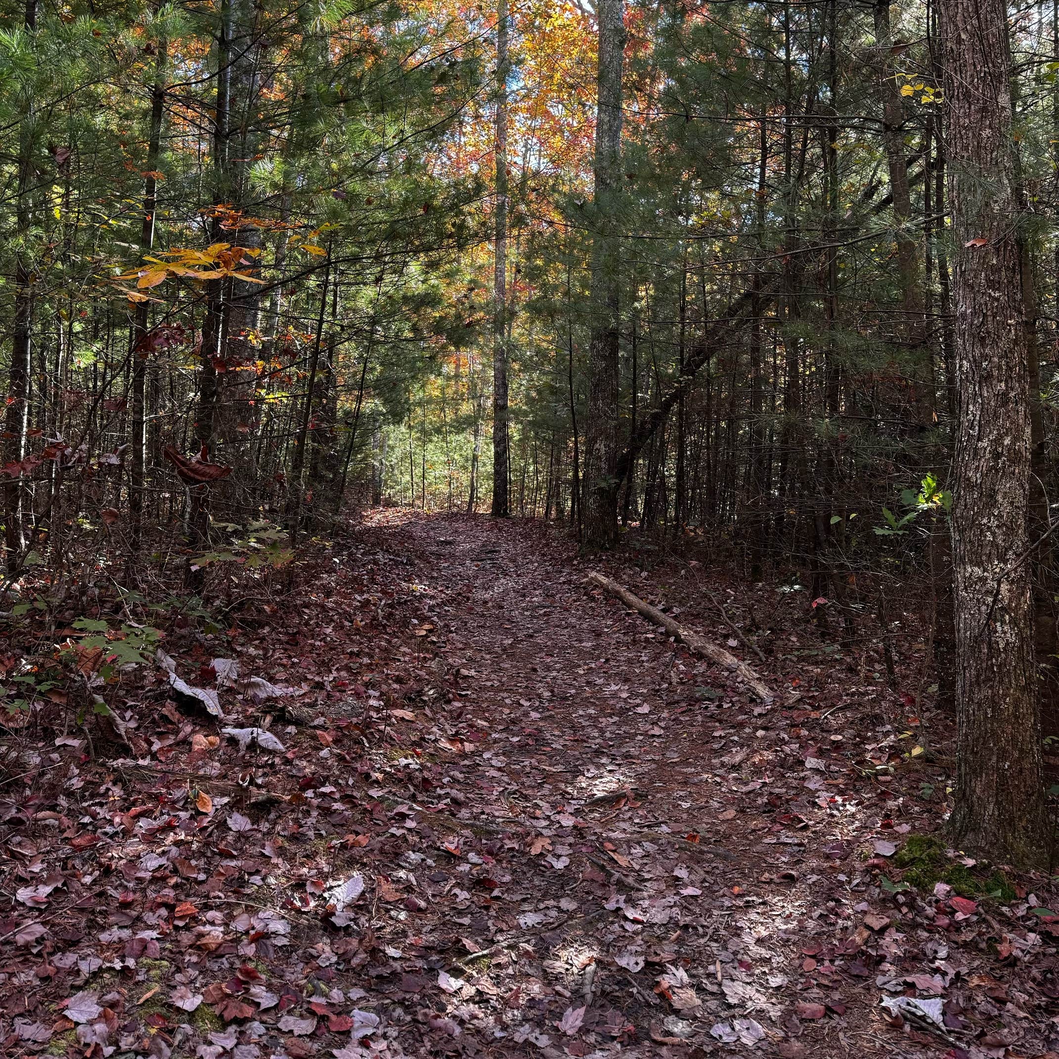 Bandy Creek Campground — Big South Fork National River and Recreation ...