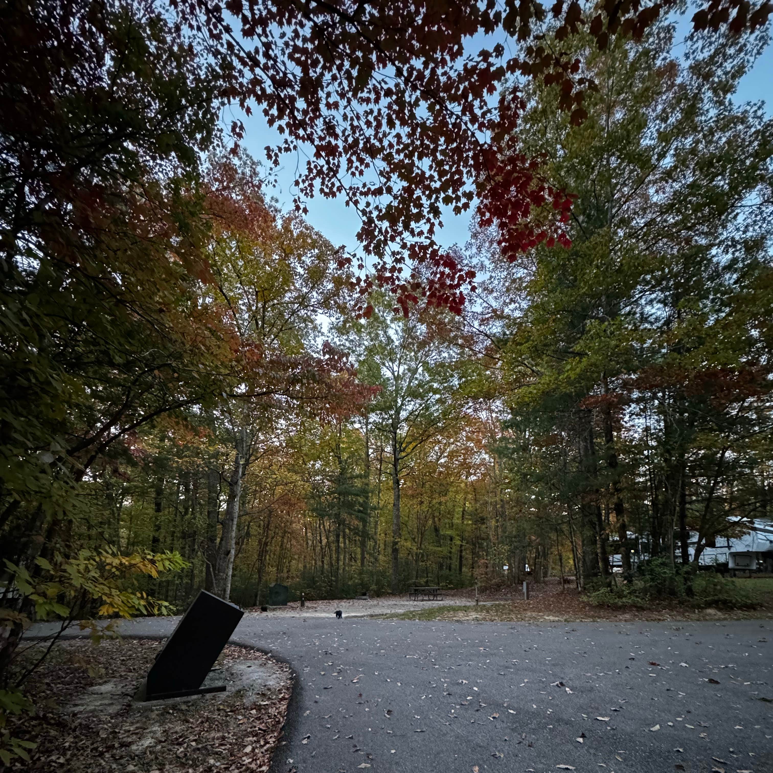 Bandy Creek Campground — Big South Fork National River and Recreation ...