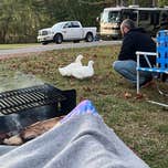 Cedar Point Campground | Shiloh, Tennessee