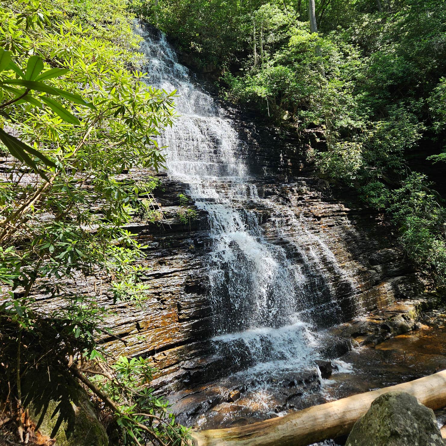 Chilhowee Recreation Area Camping | Benton, Tennessee