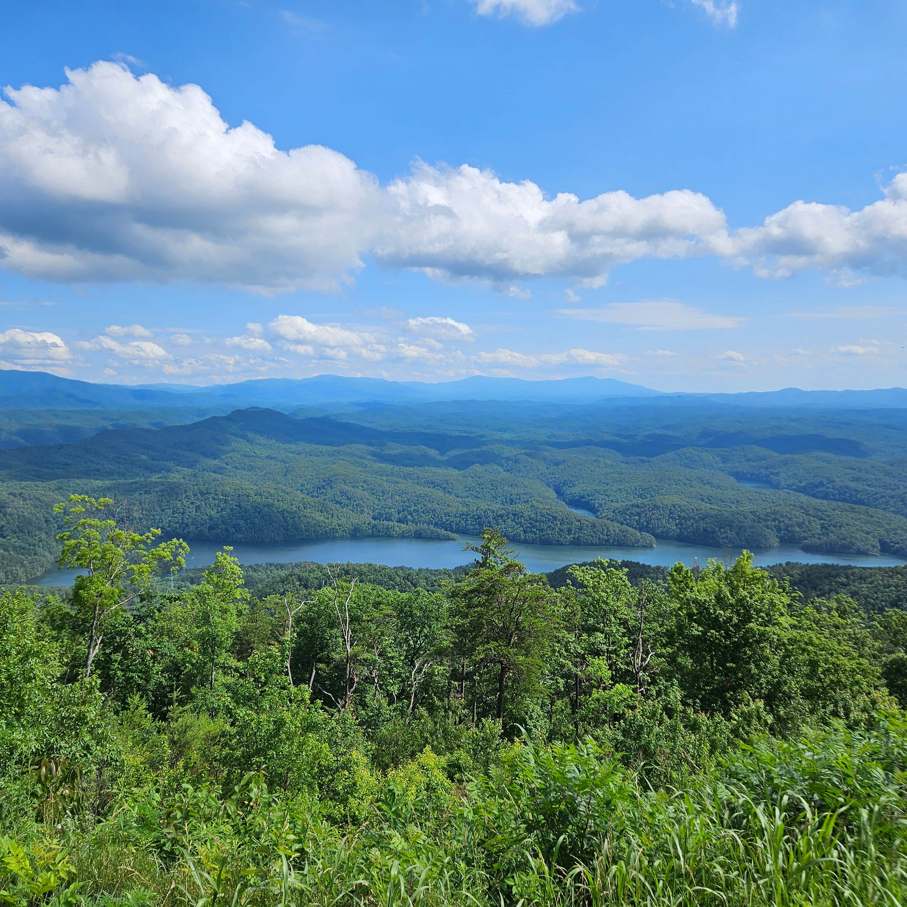 Chilhowee Recreation Area Camping | Benton, Tennessee