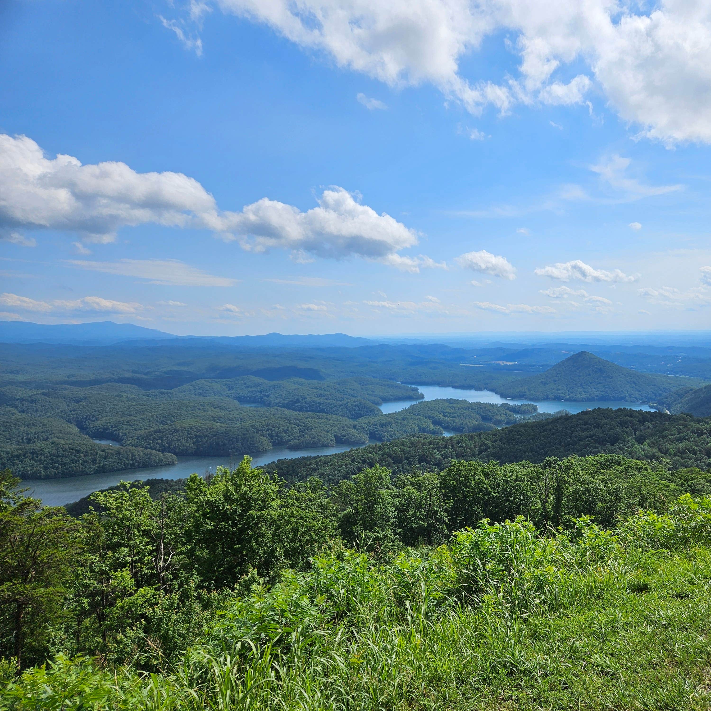 Chilhowee Recreation Area Camping | Benton, Tennessee
