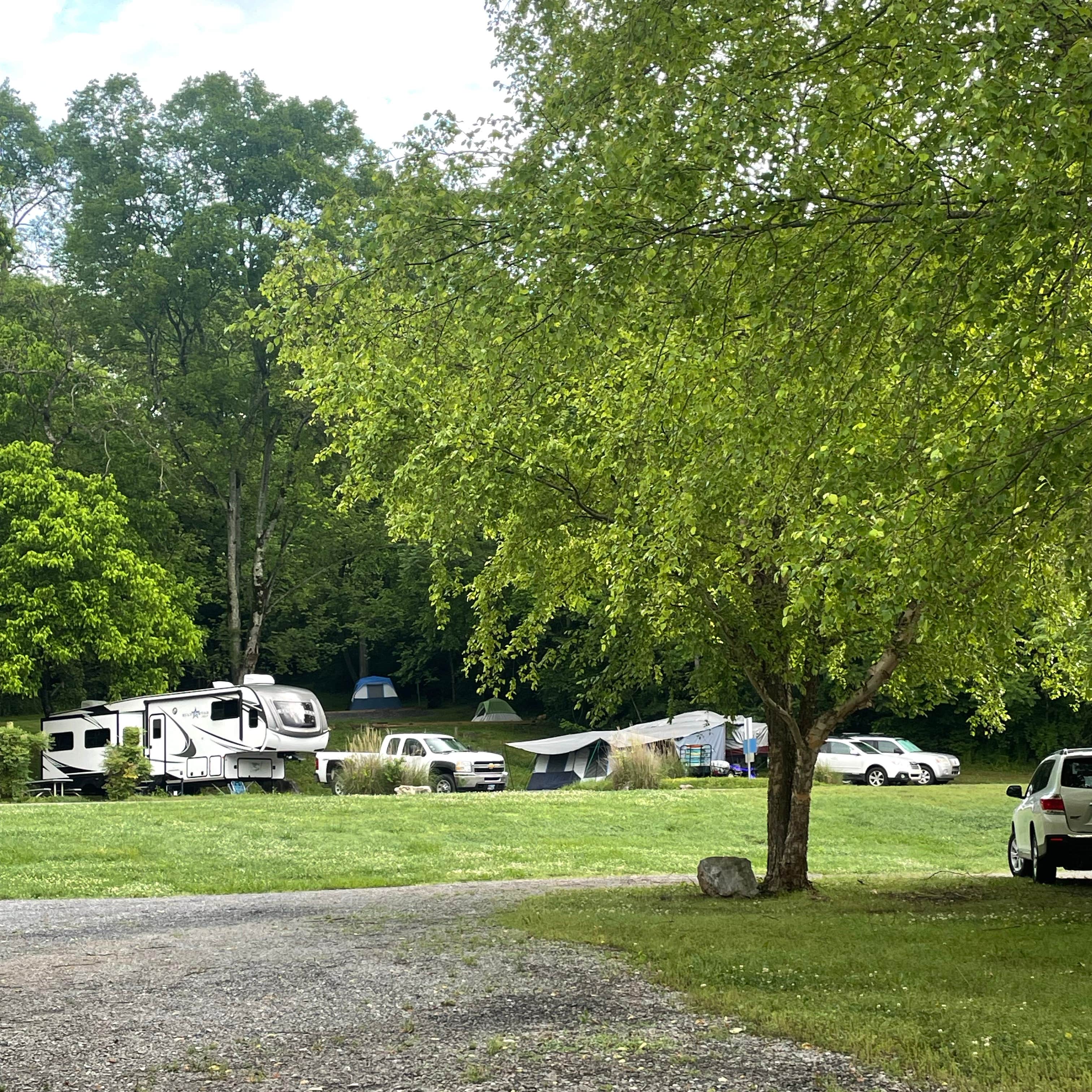 Douglas Tailwater Campground — Tennessee Valley Authority (TVA ...
