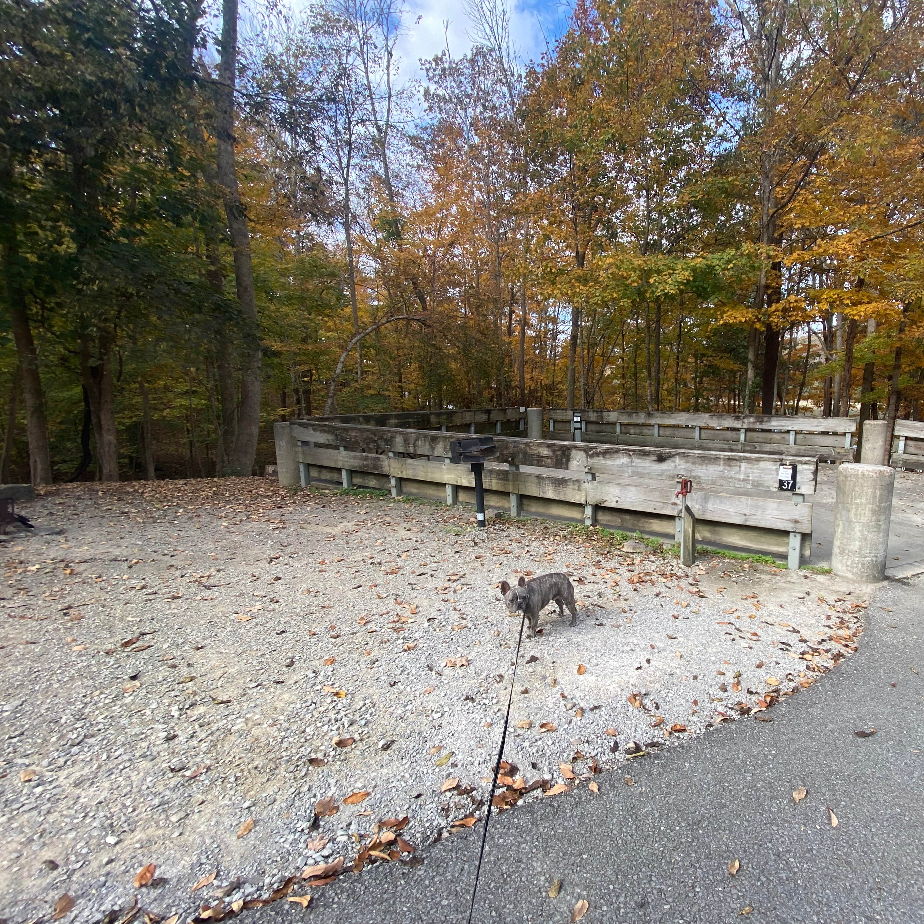 Edgar Evins State Park Campground | Lancaster, Tennessee