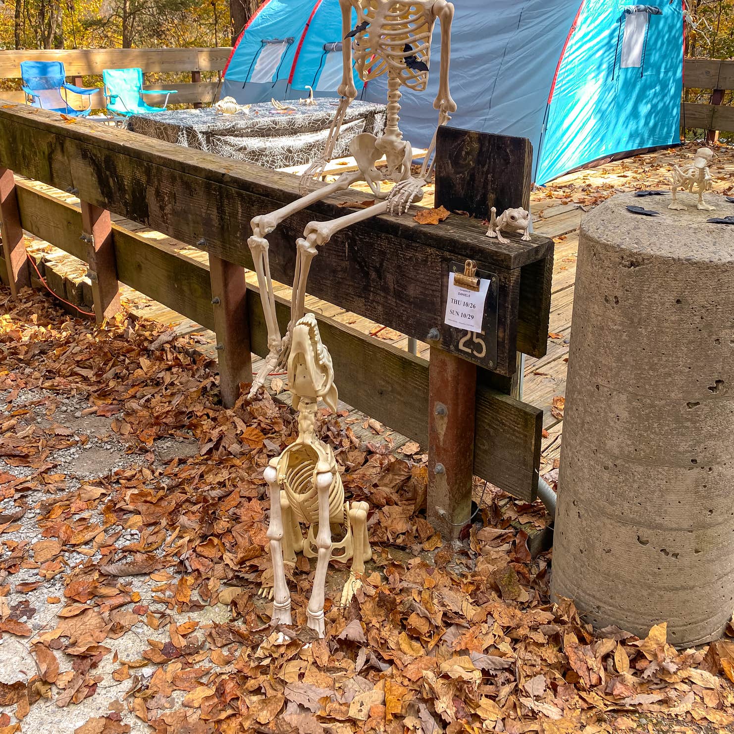 Edgar Evins State Park Campground | Lancaster, Tennessee