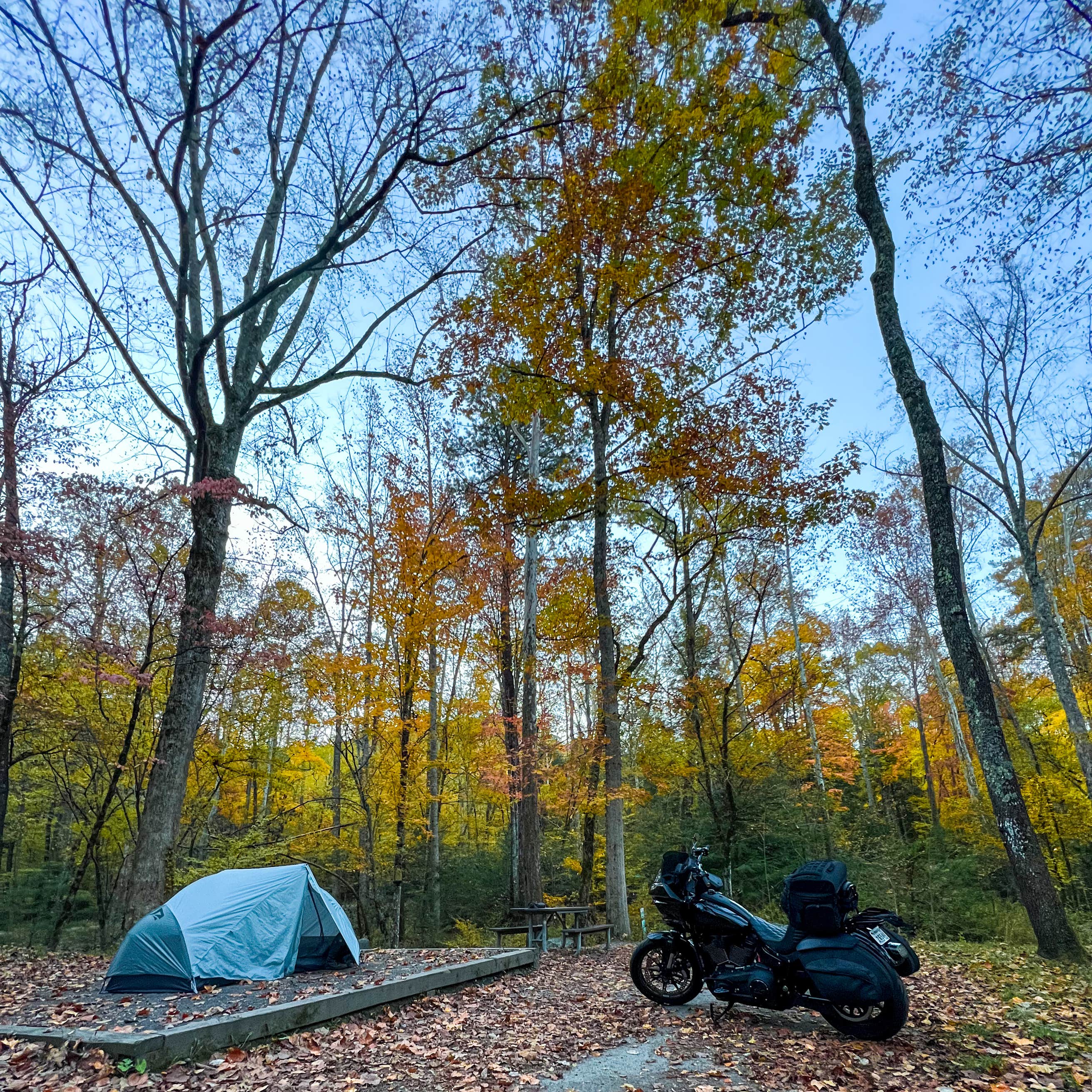 Elkmont Campground — Great Smoky Mountains National Park | Gatlinburg, TN