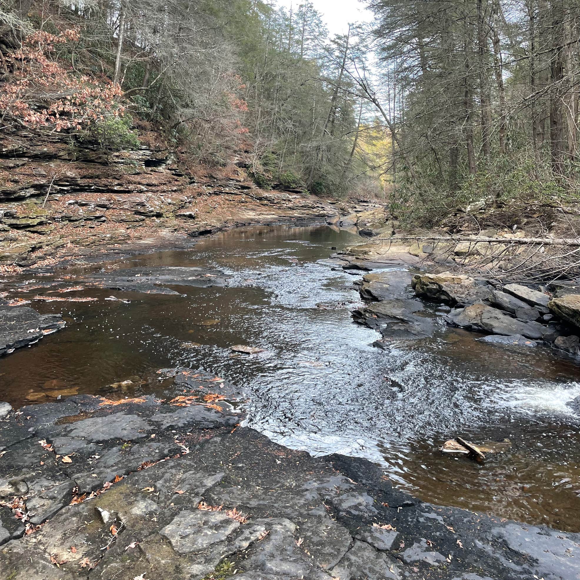 Fall Creek Falls State Park Campground | Spencer, Tennessee